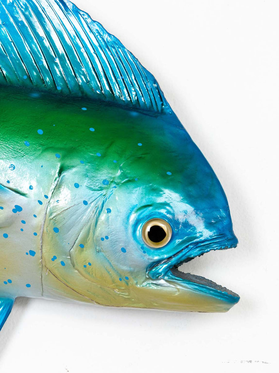 Pair Taxidermied Dolphin Fish – The Antique And Artisan Gallery Online